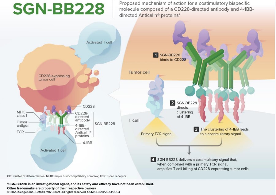 CD228-directed Antibody-Anticalin® Bispecific Protein | Pfizer Oncology ...
