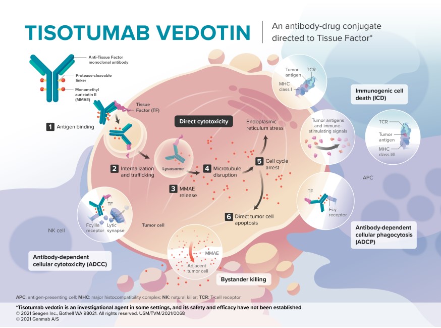 Tisotumab vedotin | Pfizer Oncology Development Website