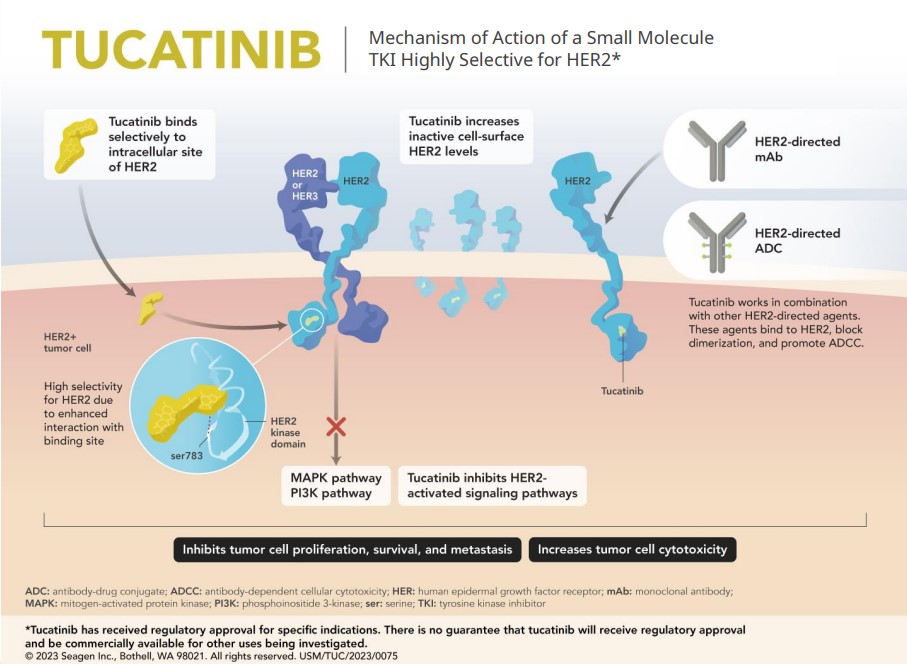 Tucatinib | Pfizer Oncology Development Website