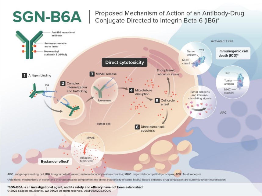Sigvotatug vedotin | Pfizer Oncology Development Website